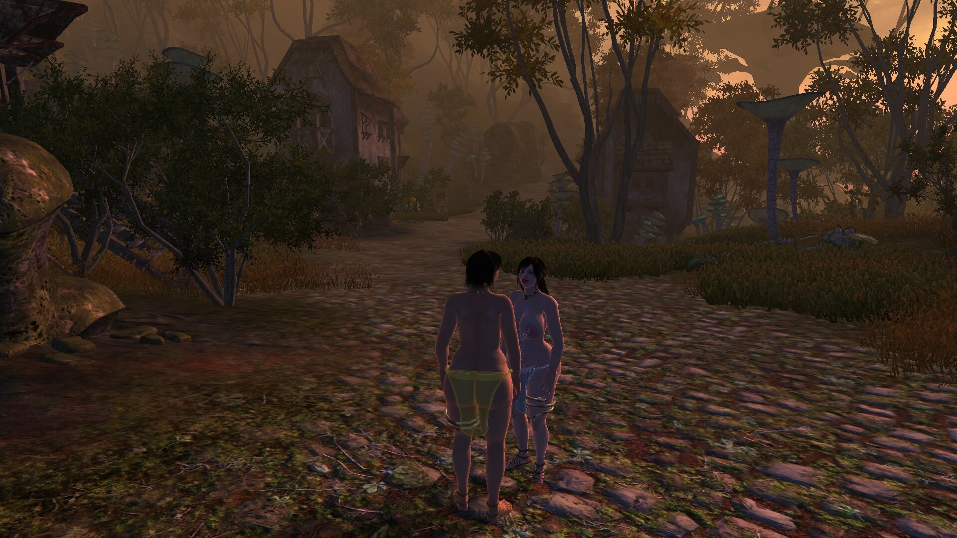 Ll Oblivion Gallery General Screenshots Thread Page 65 Oblivion 9973