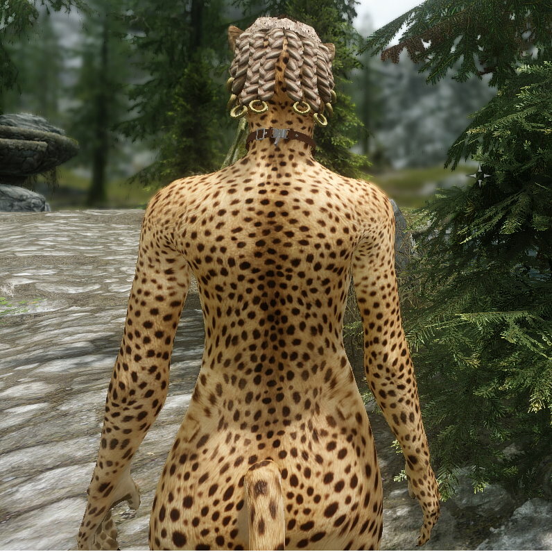 Yiffy Age Of Skyrim Page 315 Downloads Skyrim Adult And Sex Mods 