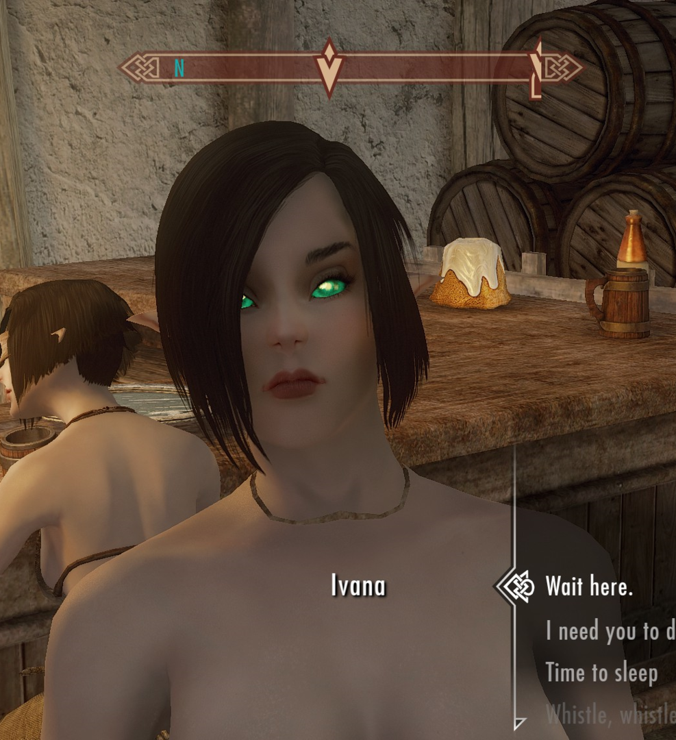 Noob Modder Needs Help With Standalone Follower Skyrim Technical Support Loverslab 
