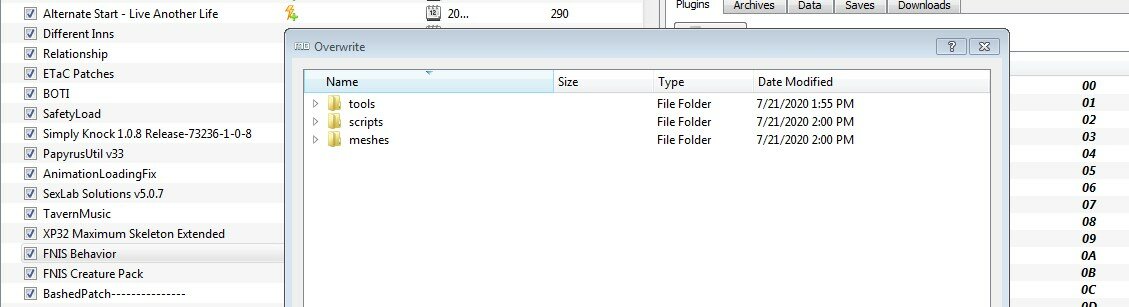 FNIS 1 warning(s) - 36 possible consistence issues - Skyrim Technical ...