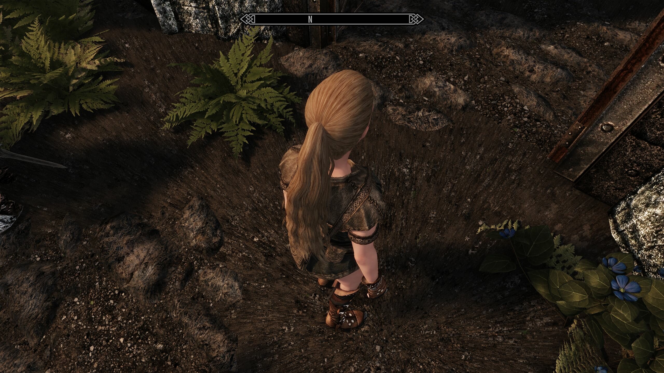 [solved] Blurry Ground Texture Technical Support Skyrim Special