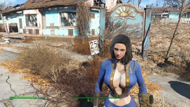Skin Texture Issue Fallout 4 Technical Support Loverslab