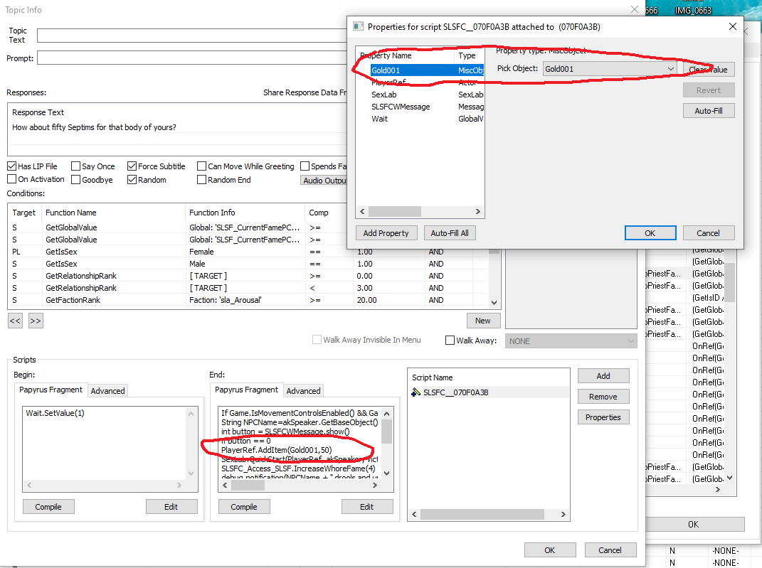 Creation Kit - Add Item Script - Skyrim Technical Support - LoversLab