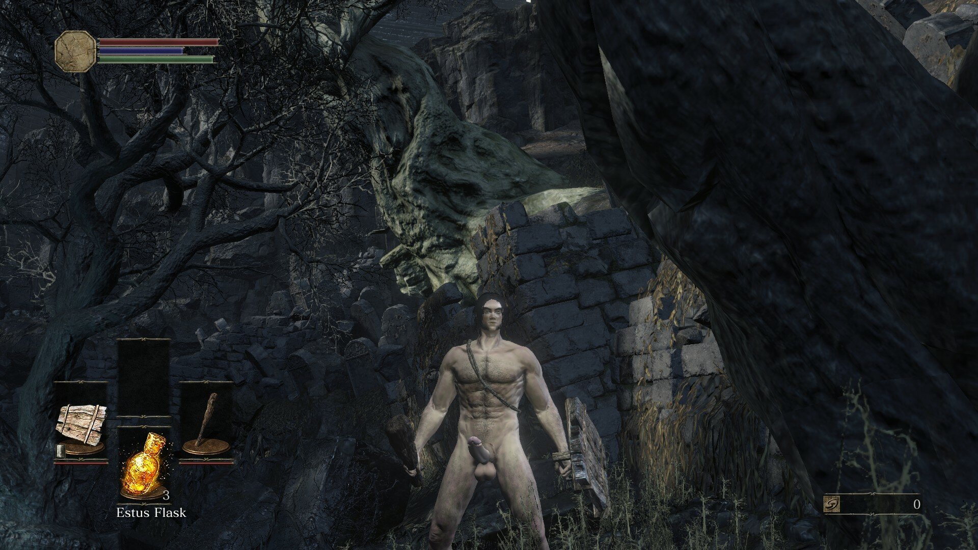 Dark Souls 3 Nude Male Mod Help Adult Gaming Loverslab