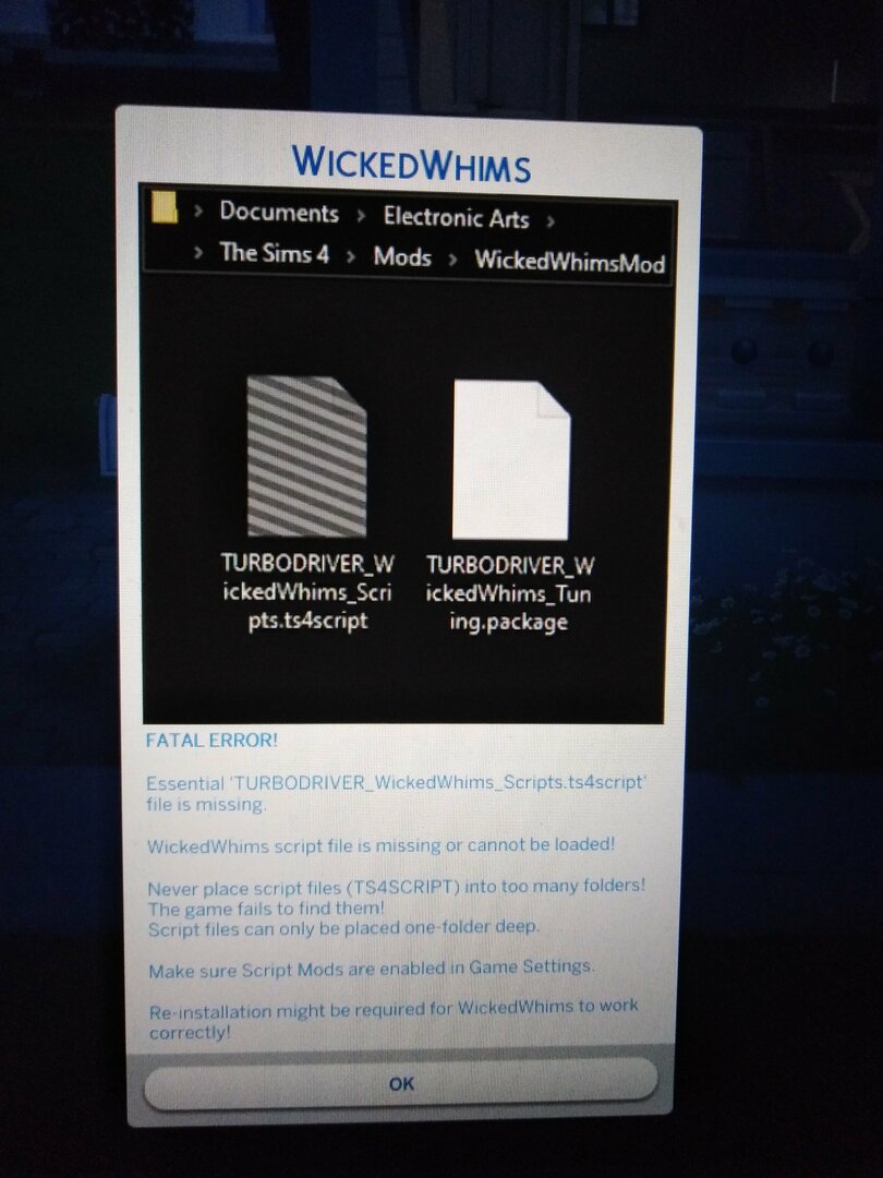 Problem With Turbodriverwickedwhimsscriptsts4script Technical Support Wickedwhims Loverslab