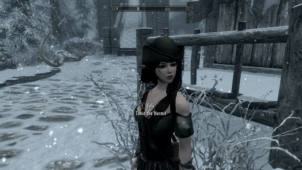 Pc Classic Custom Follower Face Bug Solved Skyrim Technical