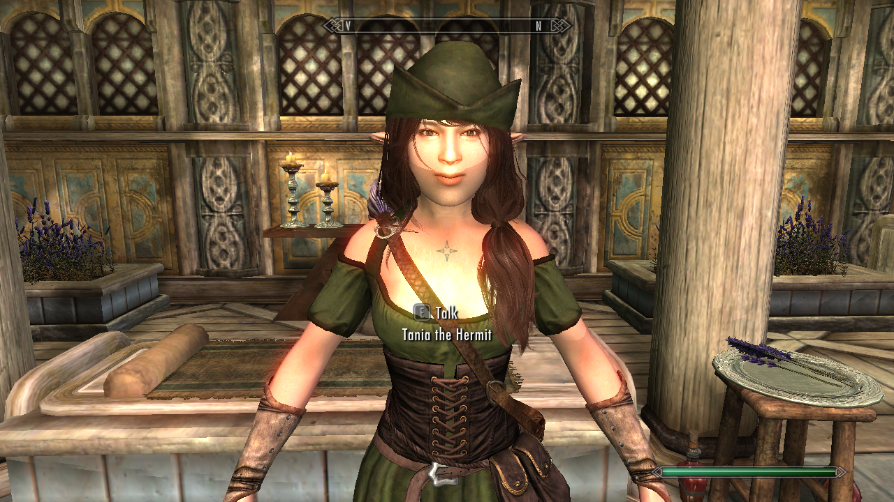 Pc Classic Custom Follower Face Bug Solved Skyrim Technical