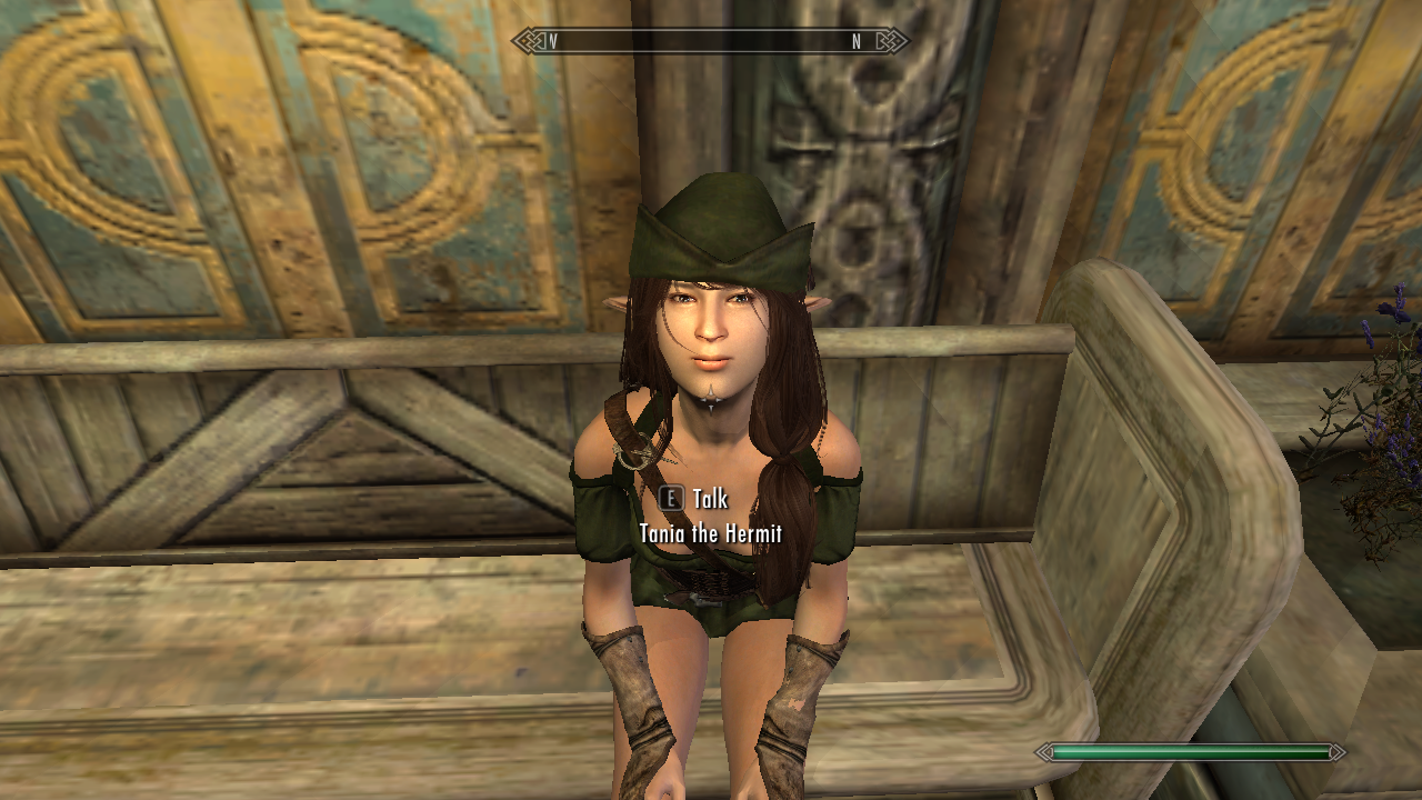 Pc Classic Custom Follower Face Bug Solved Skyrim Technical Support Loverslab