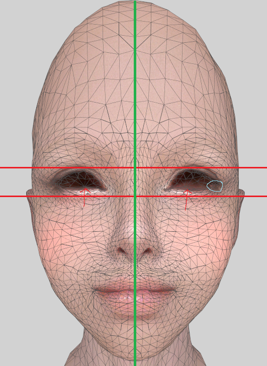 Mirroring Half Of The Face Mesh To Make It Symmetrical Skyrim Special Edition Loverslab