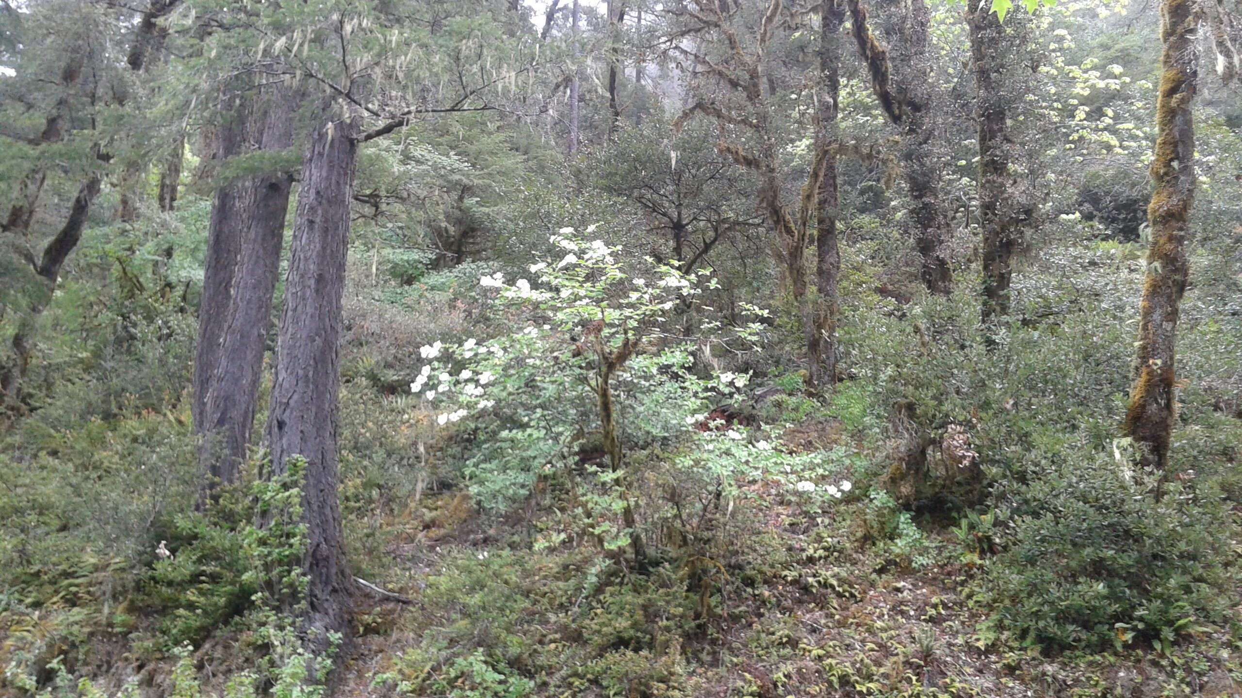 Random Pictures, real life. - Off Topic - LoversLab