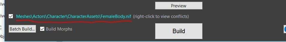Bodyslide not creating files when run through MO - Technical Support ...