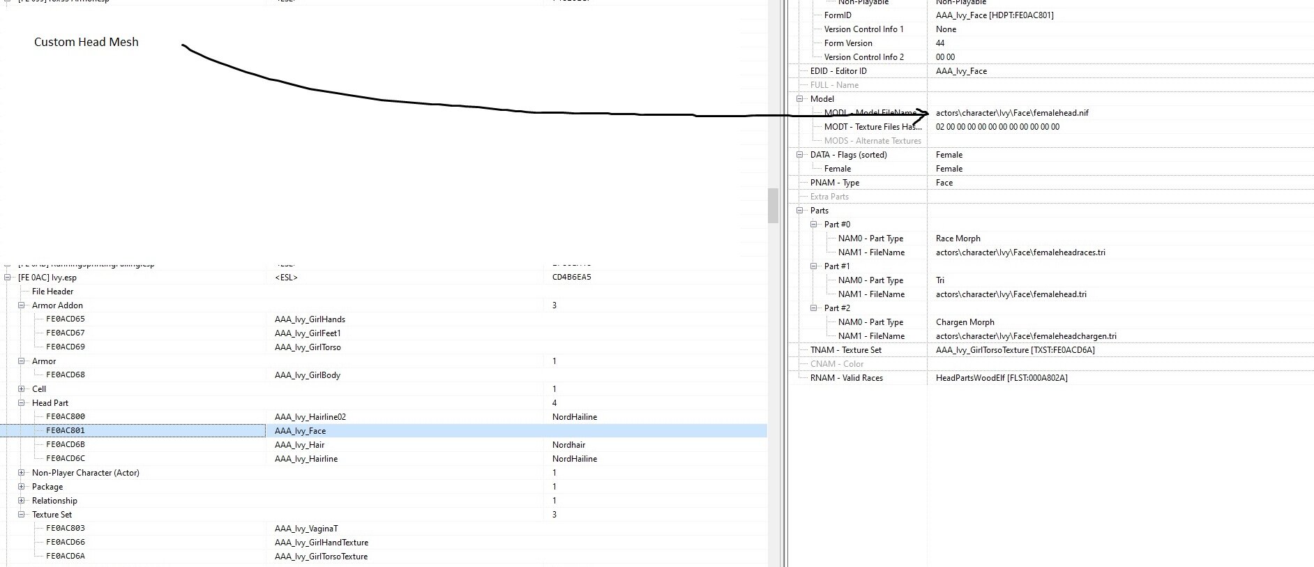 Removing custom body/skin from standalone followers - Skyrim Technical ...