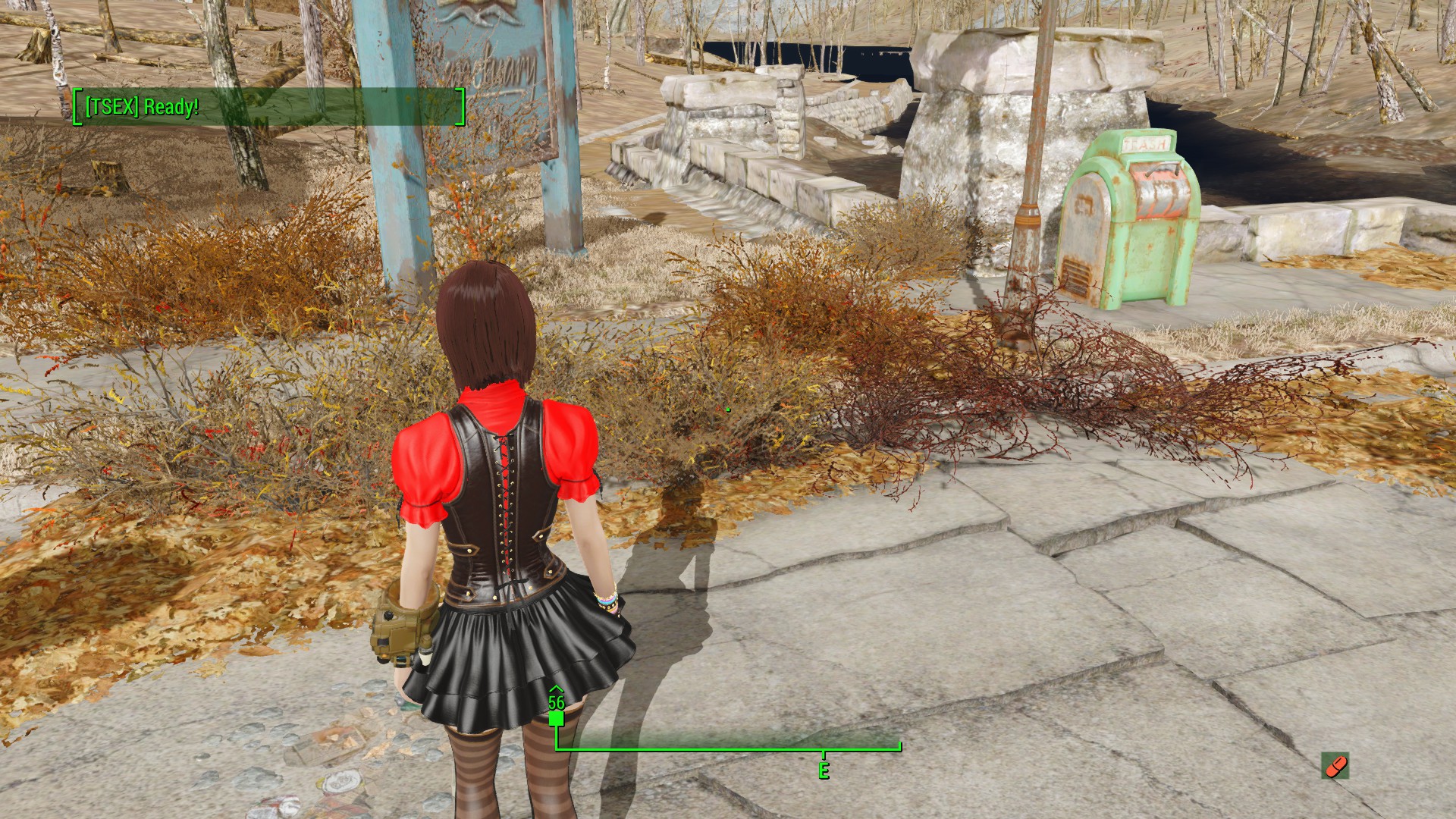 Where did these ugly vines and bushes come from? - Fallout 4 General ...