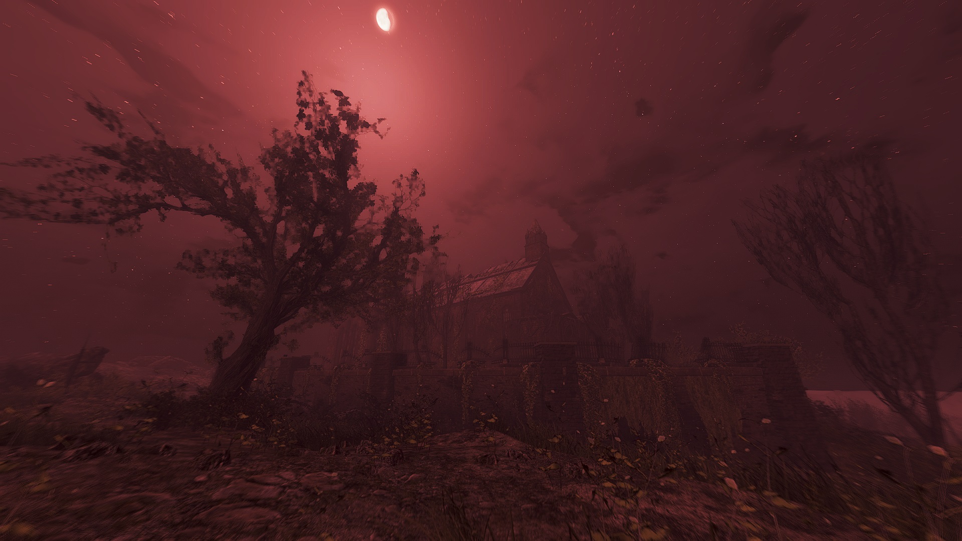 Kapitel 37 – Mutter Punga oder warum fehlt mir ein Stück von meinem ...