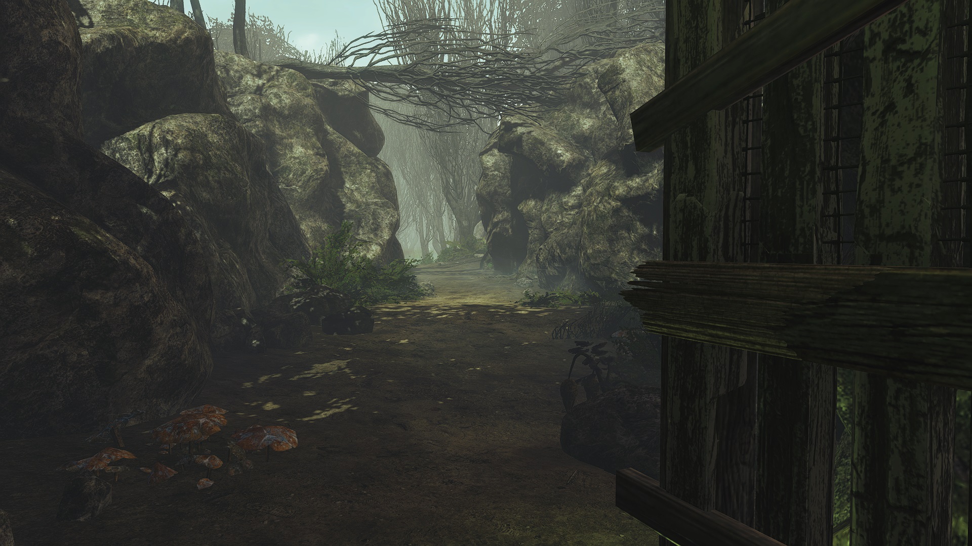 Kapitel 37 – Mutter Punga oder warum fehlt mir ein Stück von meinem ...