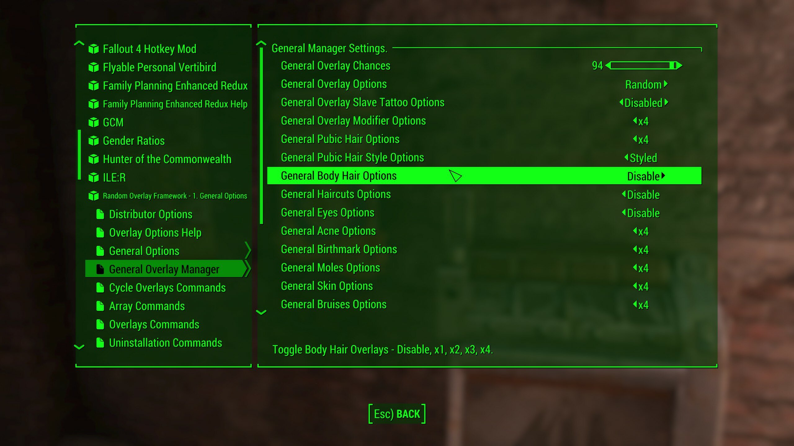 Random Overlay Framework - Page 23 - Downloads - Fallout 4 Non Adult ...