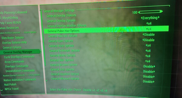 Random Overlay Framework - Page 23 - Downloads - Fallout 4 Non Adult ...