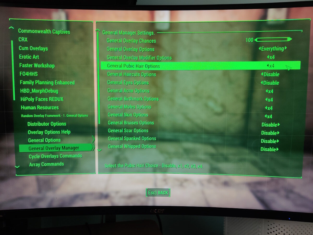 Random Overlay Framework - Page 23 - Downloads - Fallout 4 Non Adult ...