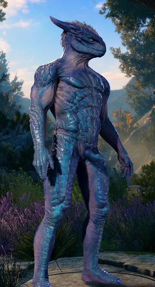 [balders Gate 3] Male Dragonborn Genitalia Replacement Mod Request
