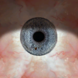 HiyokoGeneratorGeneForge - Page 11 - Downloads - Lovers with PK - LoversLab