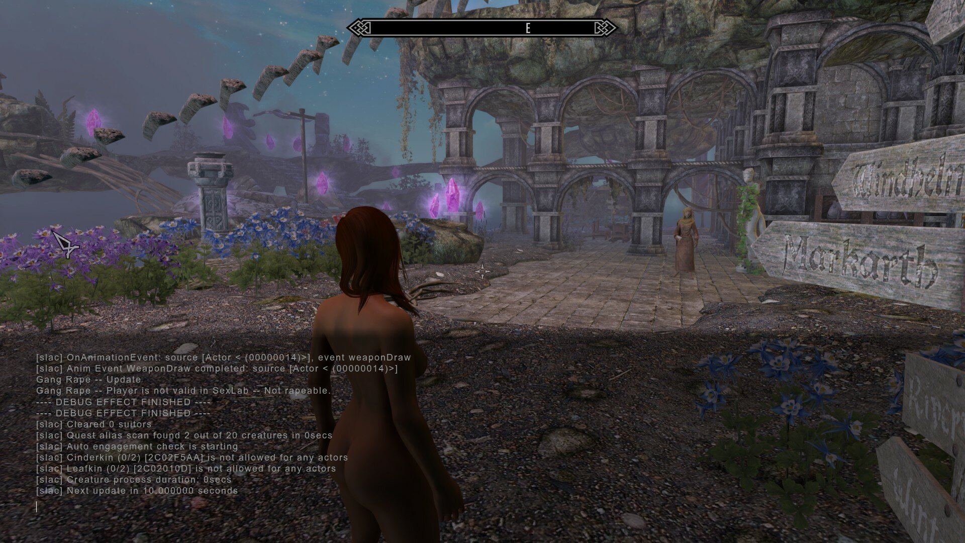 Animations Not Working Again Skyrim Technical Support Loverslab