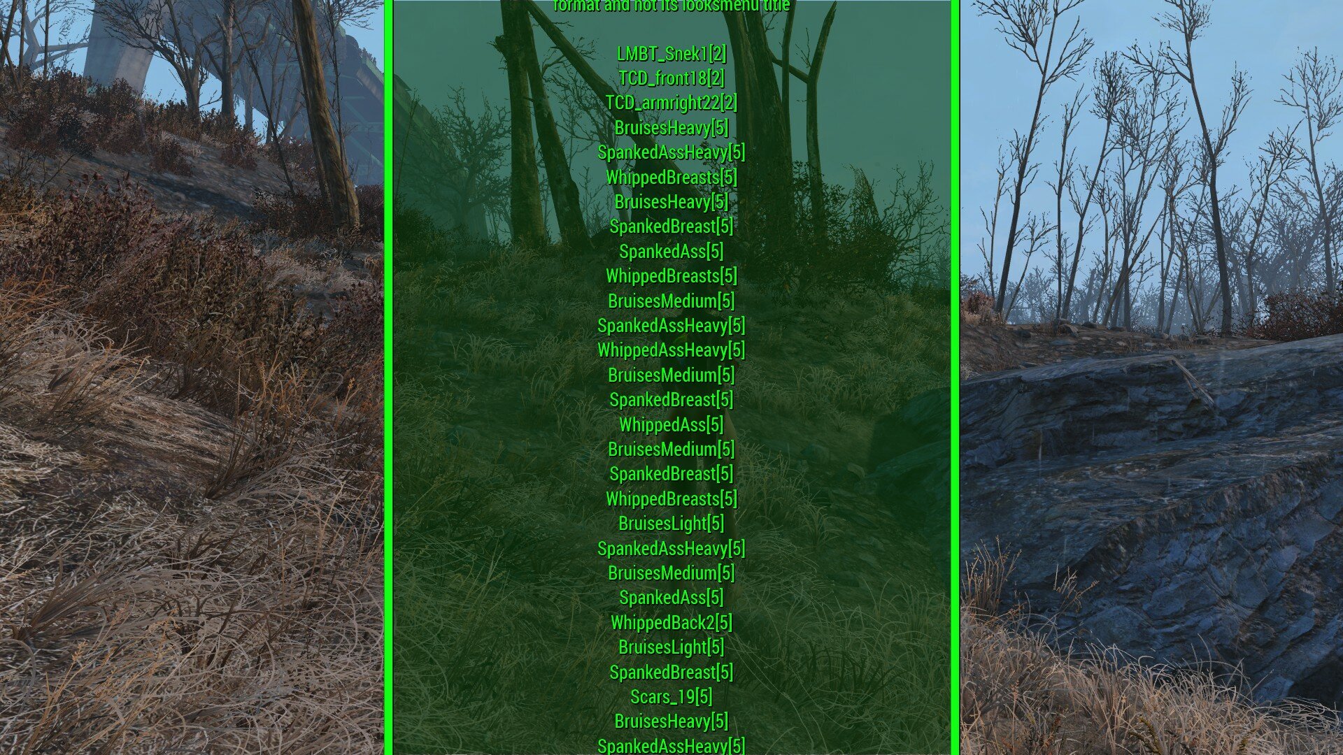 Random Overlay Framework - Page 36 - Downloads - Fallout 4 Non Adult ...