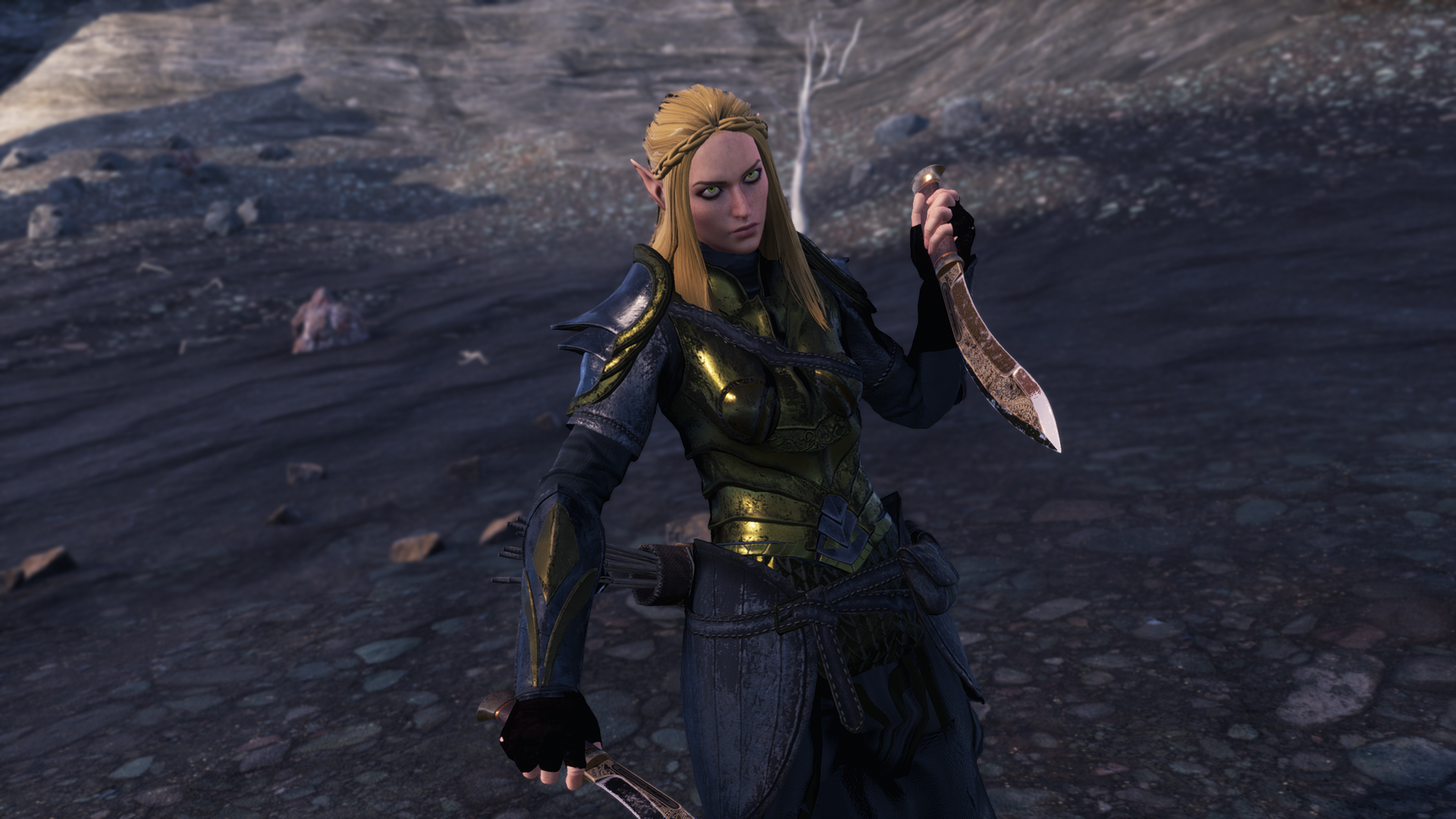 A bunch of SFW screenshots for once, of my Elf on the server ...