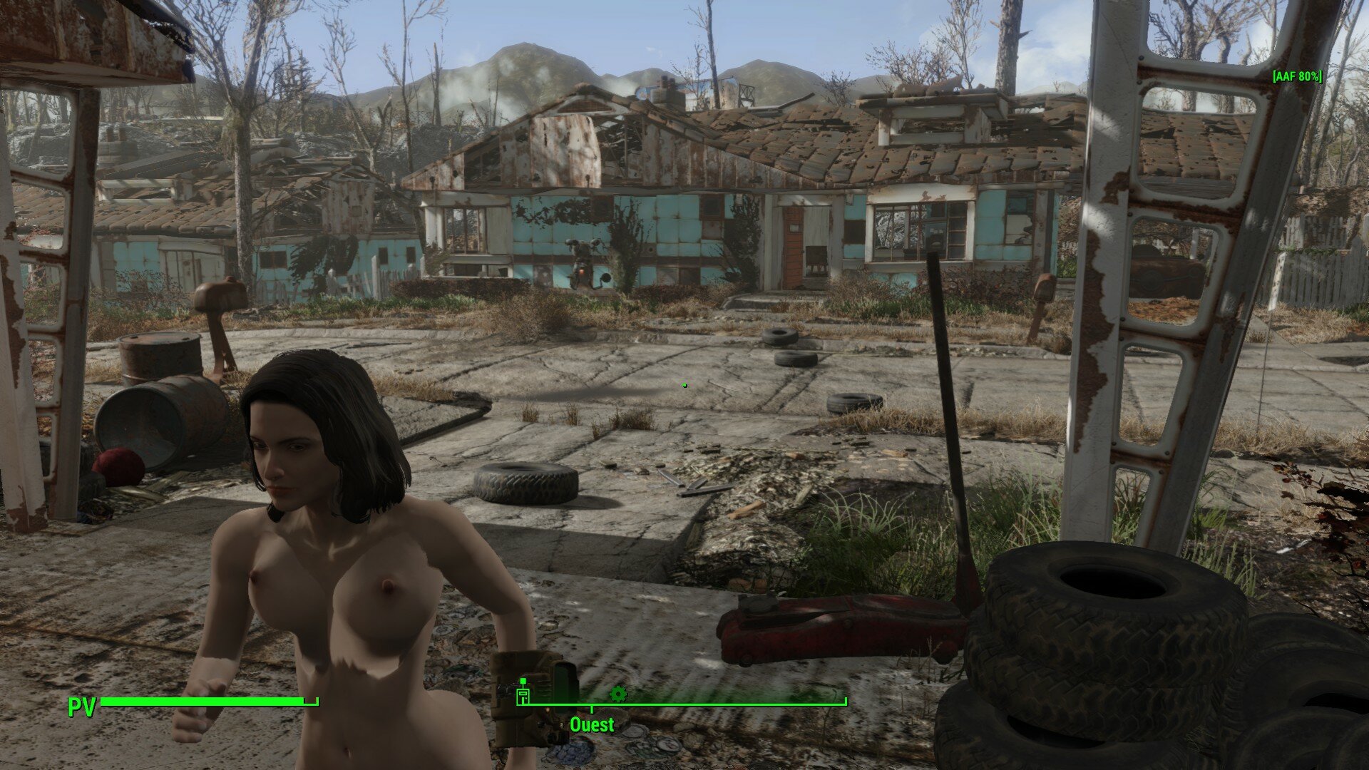 Issues With Body Physic Fallout 4 Technical Support Loverslab