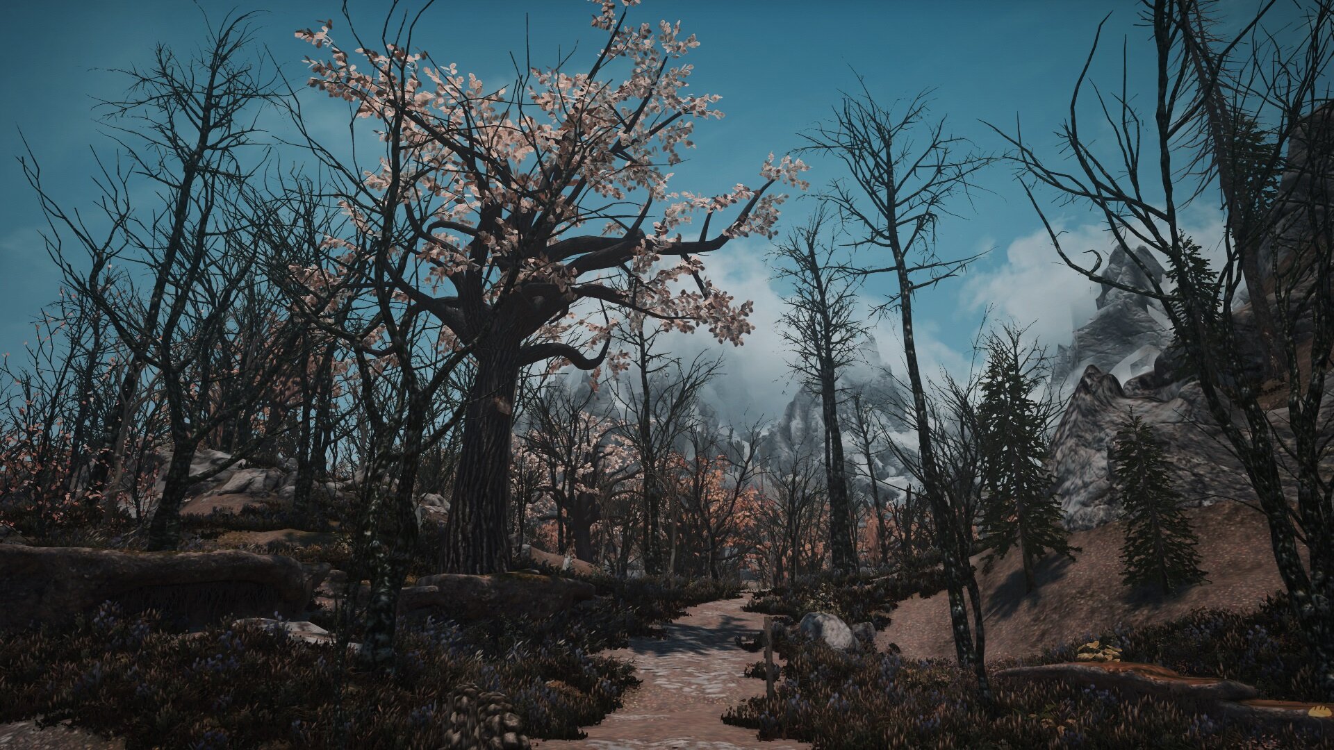 Community Shaders - Anyone had a dabble? - Skyrim General Discussion ...