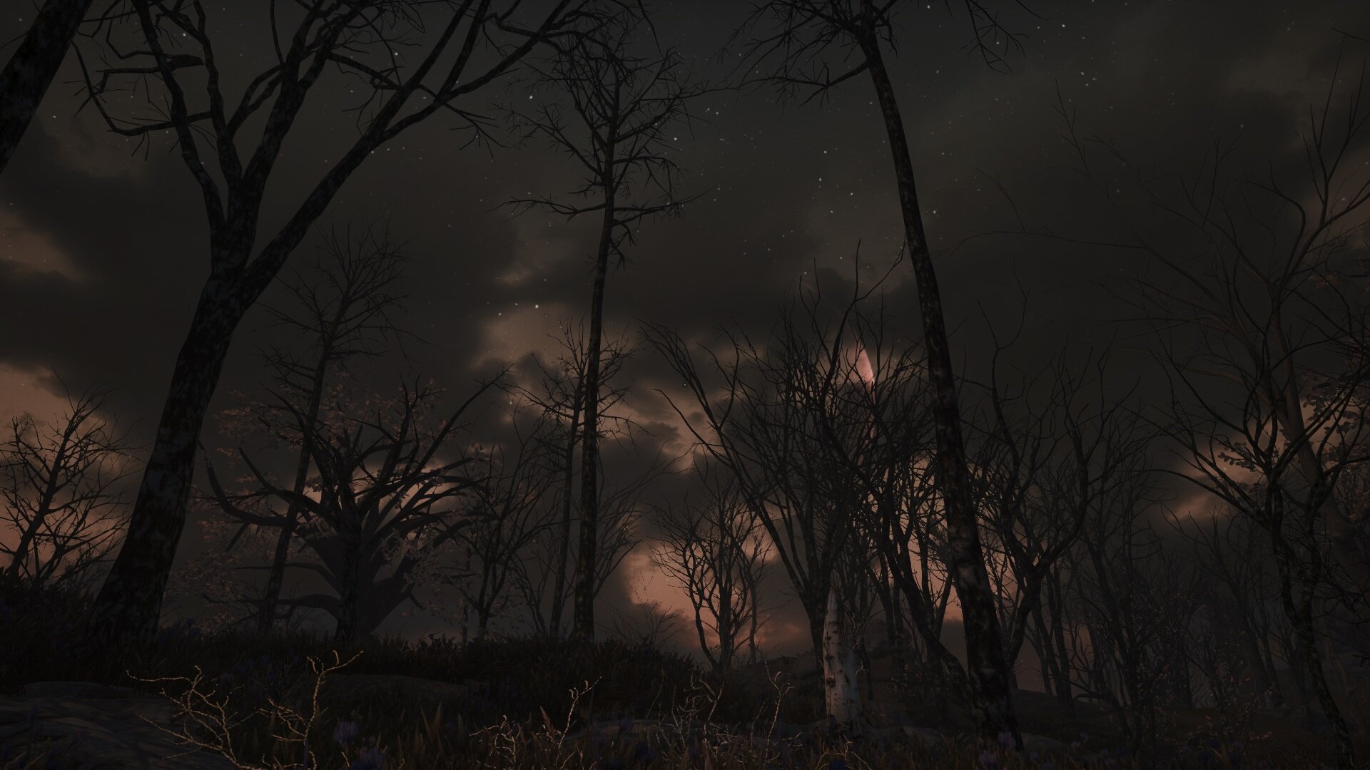 Community Shaders - Anyone had a dabble? - Skyrim General Discussion ...