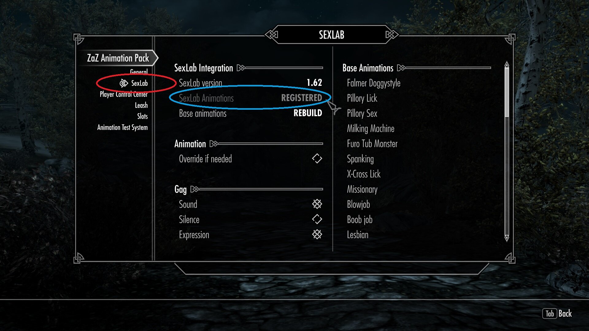 ZAZ animations not playing - Technical Support - Skyrim: Special ...