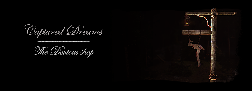 Captured Dreams 4.15 SSE - RUS 4.15 - Downloads - SexLab Framework SE - LoversLab