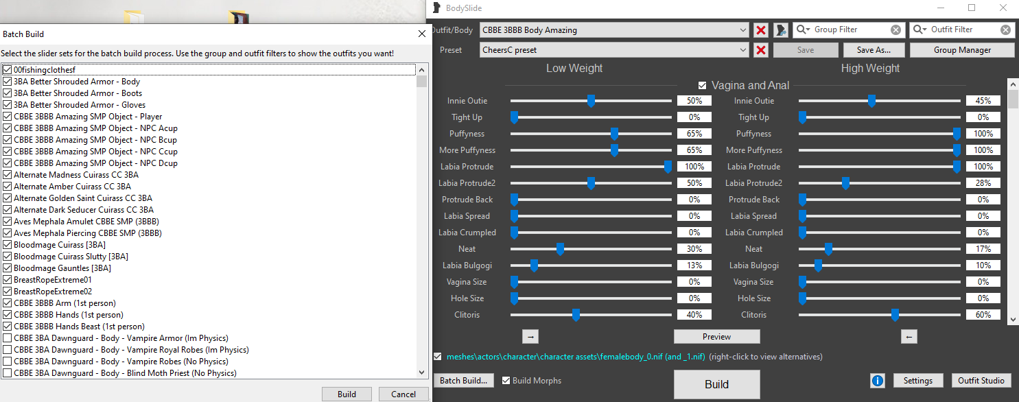 Skyrim SE BodySlide/Outfit Studio Question - Skyrim: Special Edition ...