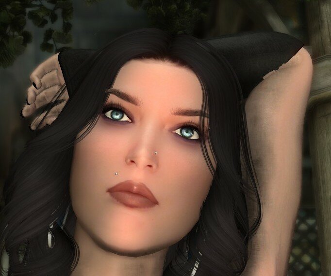 Nif Merge Causes Brown Face To The File That It Merged Technical Support Skyrim Special 