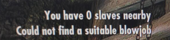 Help Reqd The Mod Of The New Version Sex Slave Not Have Animations Skyrim Adult Mods Loverslab