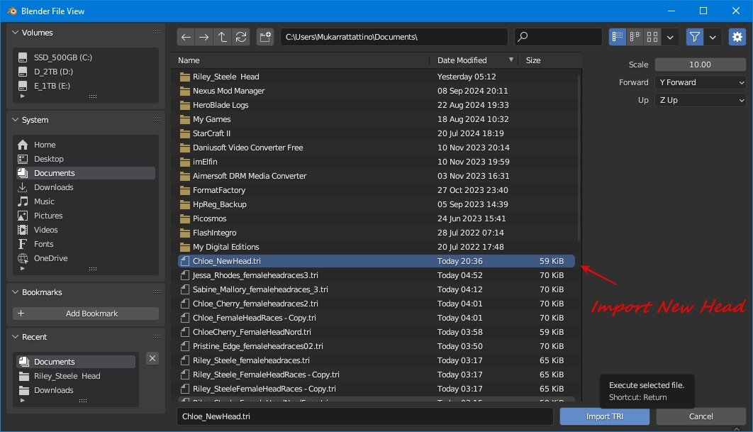 Problem(s) about importing faces into Creation Kit... - Technical ...