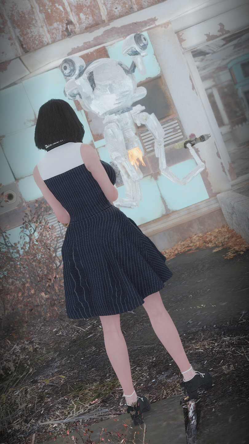 Some Skirts - Fallout in Skyrim - LoversLab