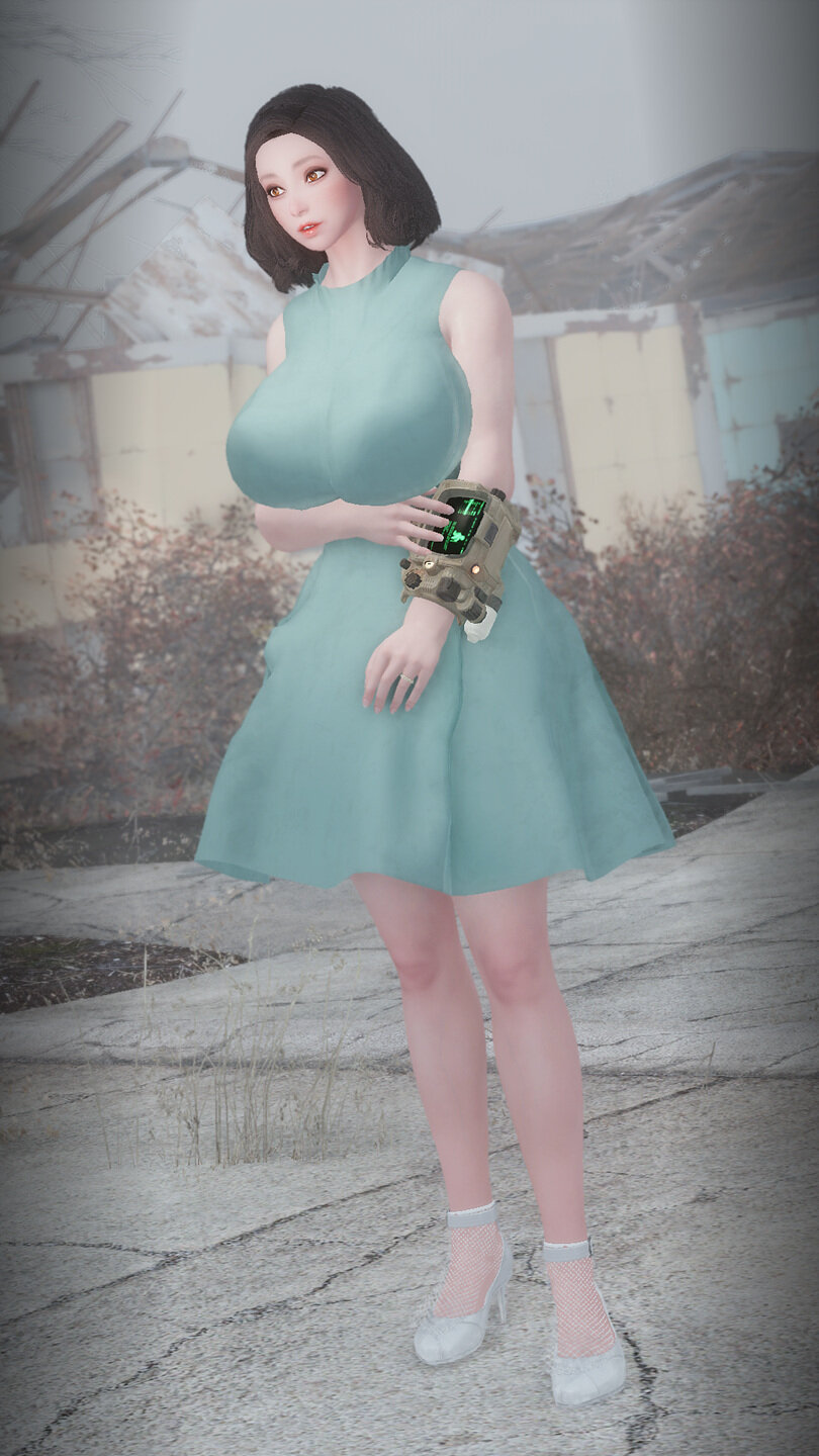 Some Skirts - Fallout in Skyrim - LoversLab