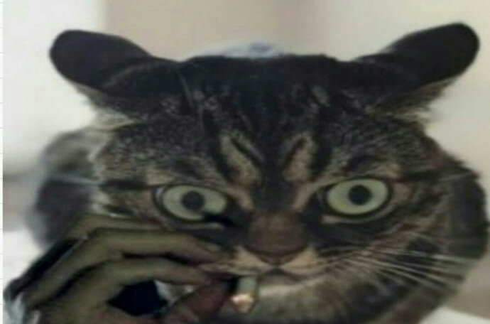 [mod] One more SA0 bodies retexture - Rimworld - LoversLab