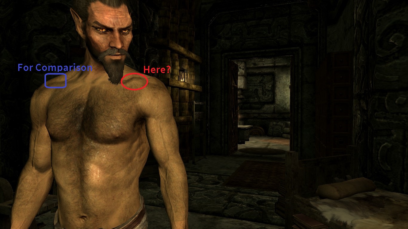 Smsosl Sundracon Male Schlongs Of Skyrim Light Hoddie Hdt P3 P4 Downloads Skyrim Adult