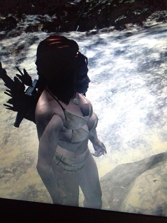 Help Skyrim Technical Support Loverslab 2524