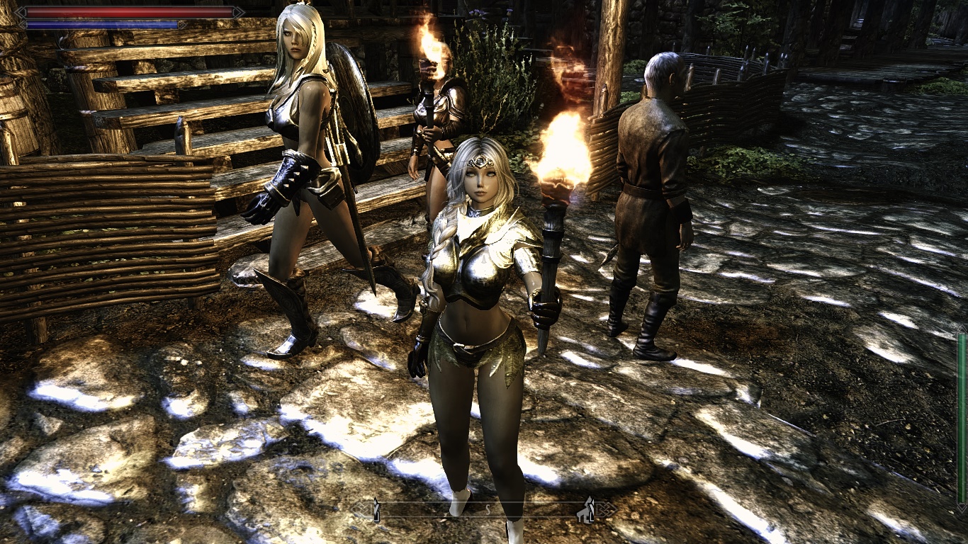 Please Friends Try To Help Me Bodyslide Error Skyrim Adult Mods