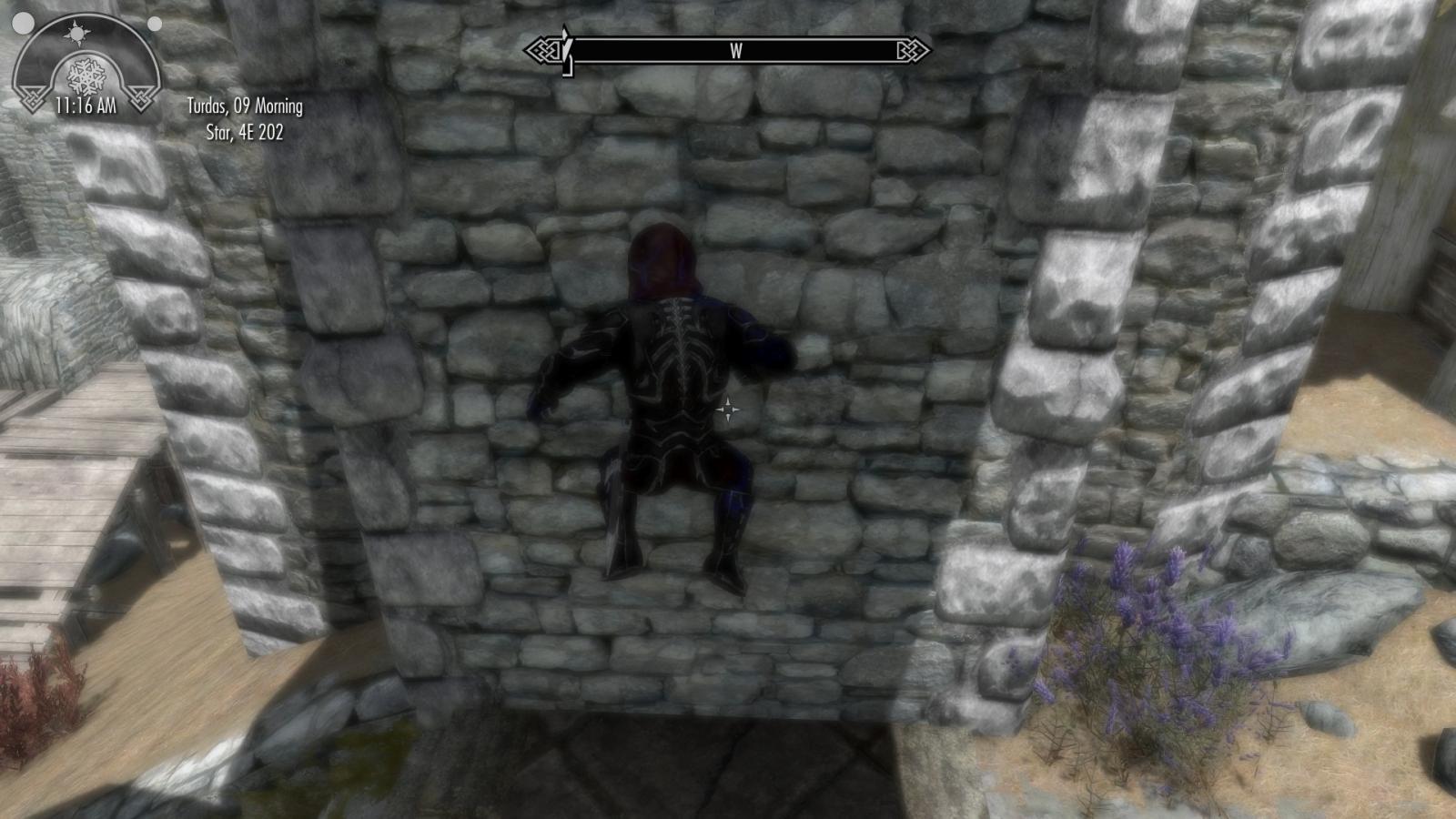 Skyrim Graphical Glitch Help Needed Skyrim Technical Support 8431