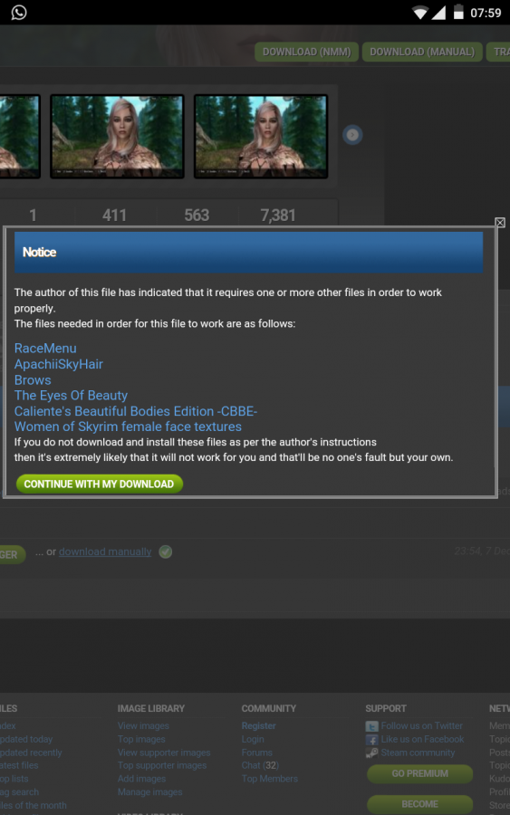 Share Your Racemenu Preset Slot File Page 19 Skyrim General Discussion Loverslab