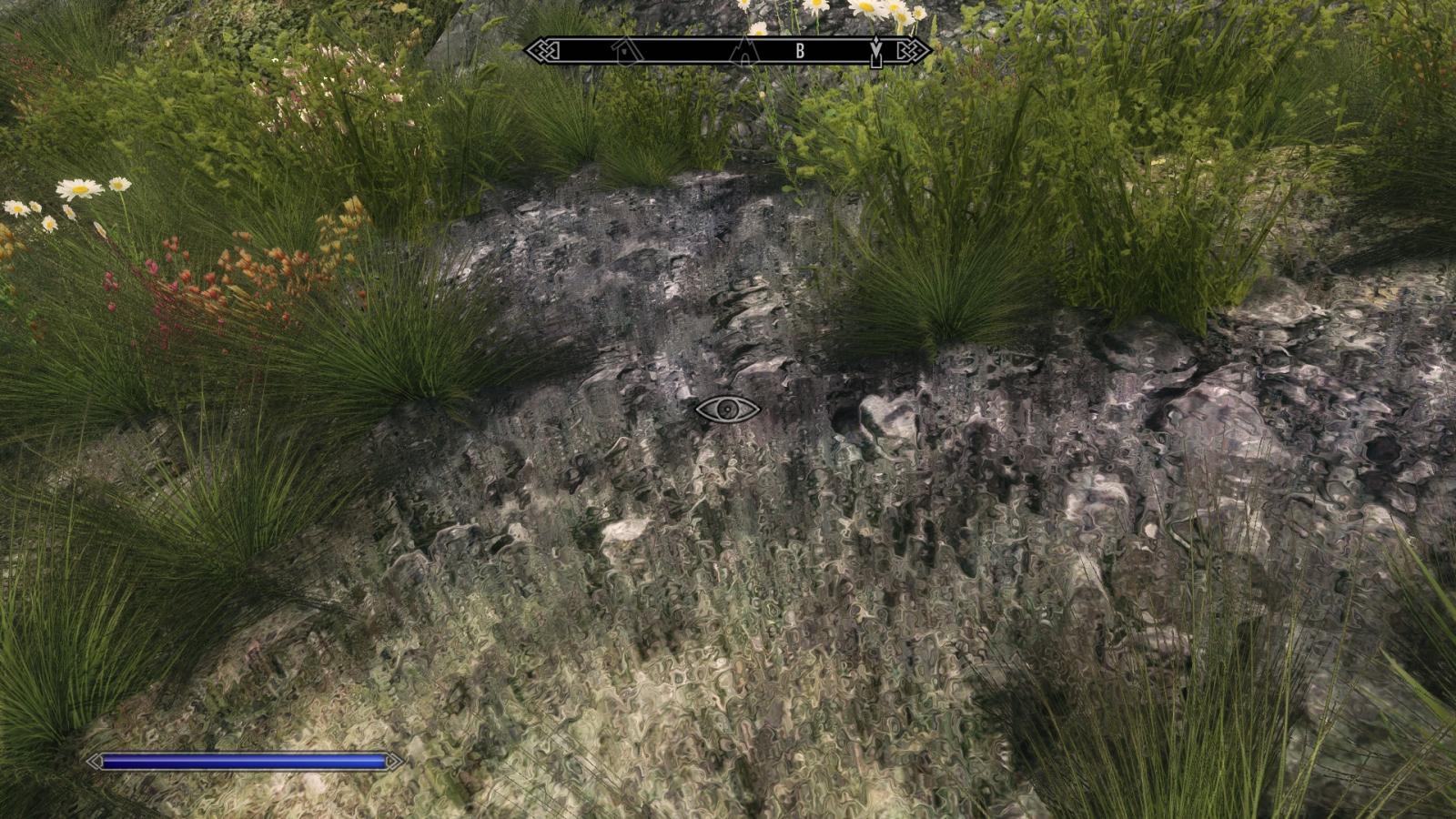 Texture glitch /conflict - Skyrim Technical Support - LoversLab