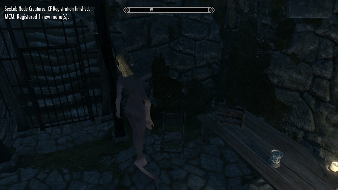 Visual Glitch Skyrim Technical Support Loverslab 7687